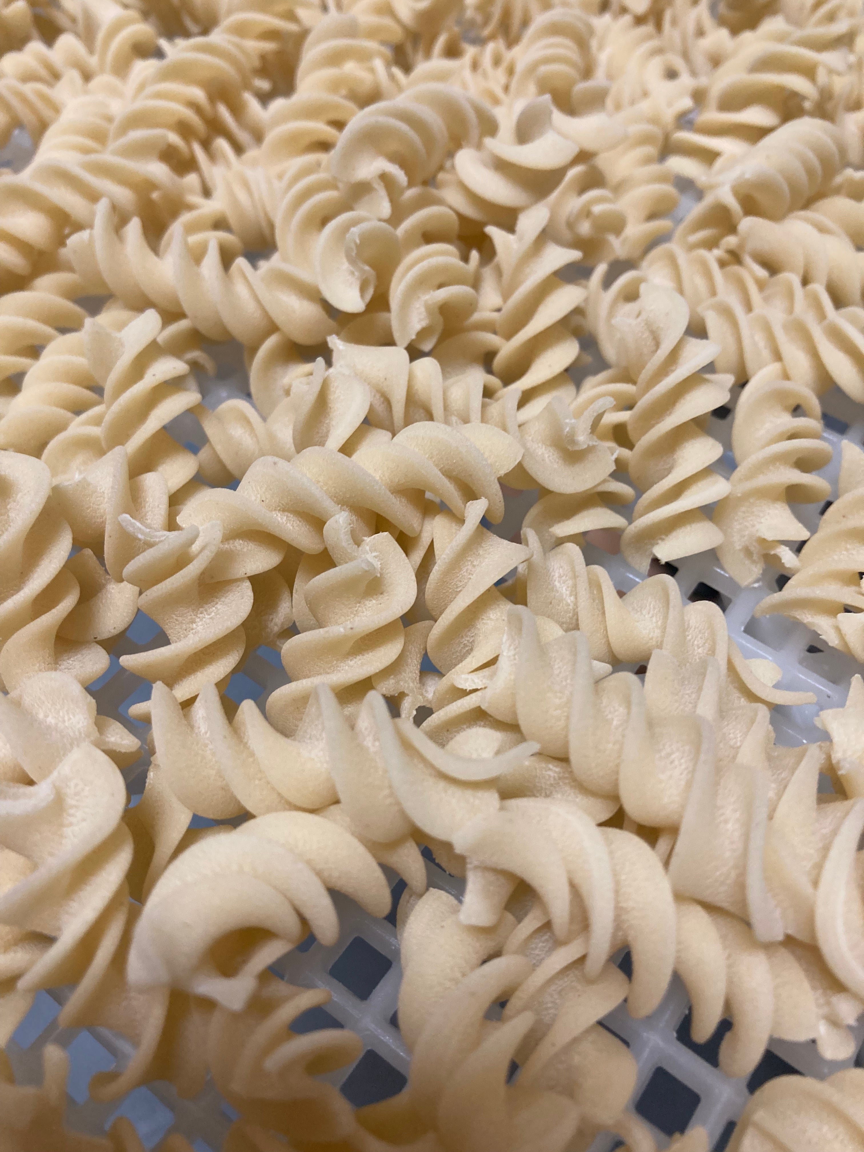 Fusilli (1LB; frozen) | Pasta Fresca di Auburn