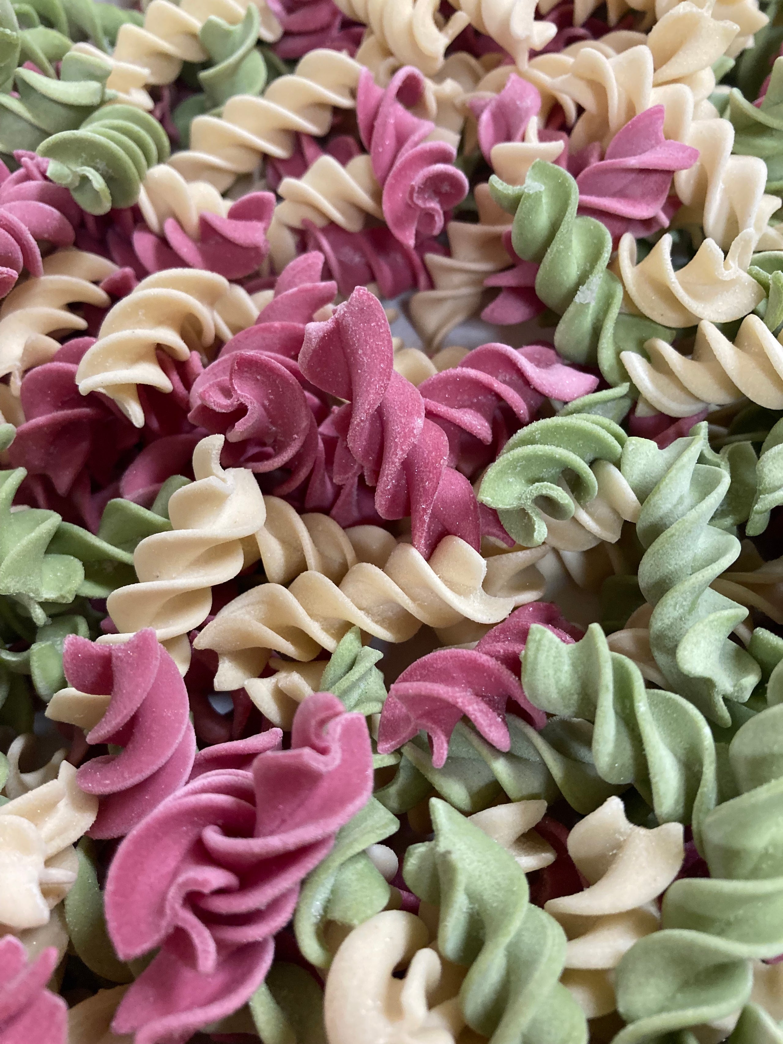 Tri-Color Fusilli (Frozen) | Pasta Fresca di Auburn