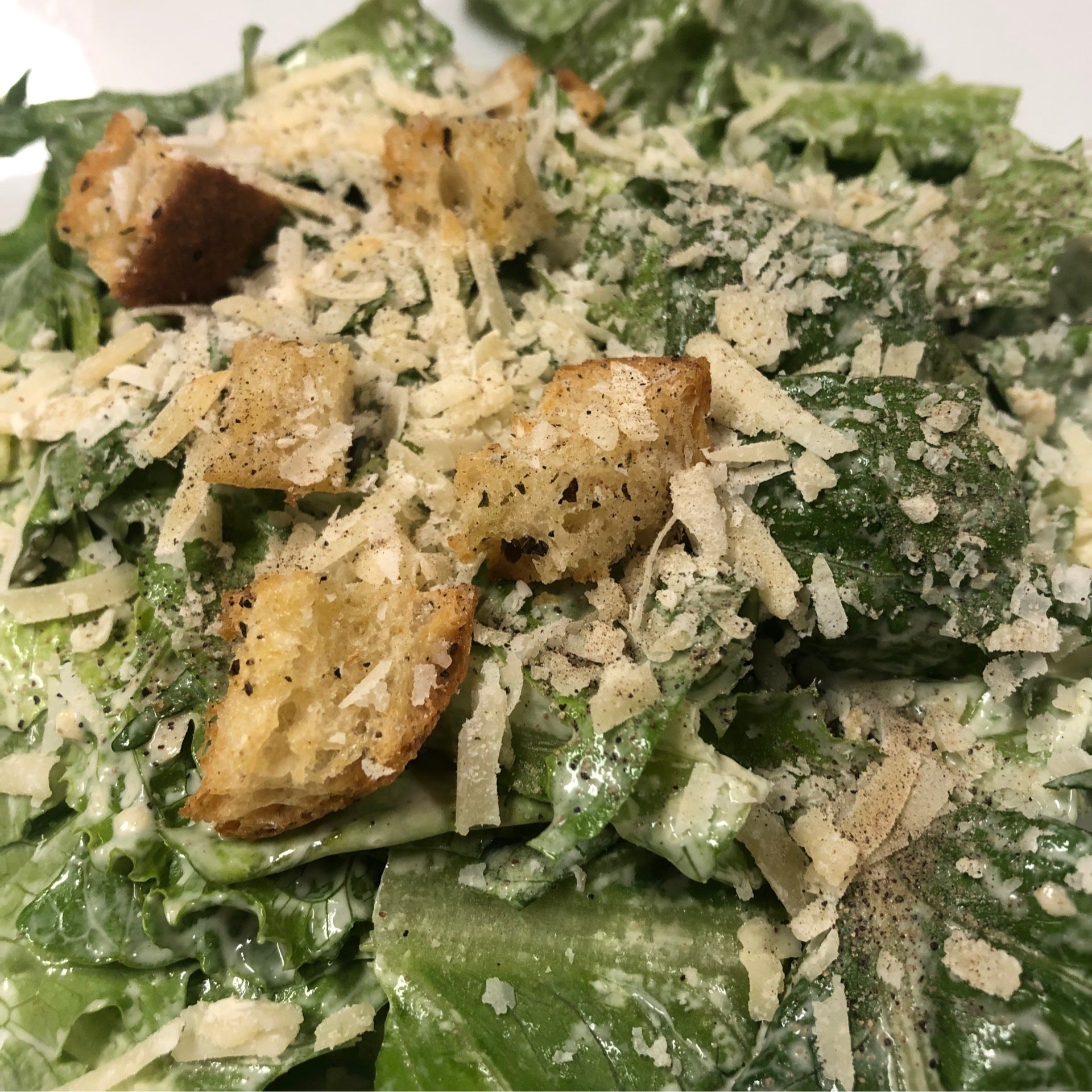 Caesar Salad | Pasta Fresca di Auburn